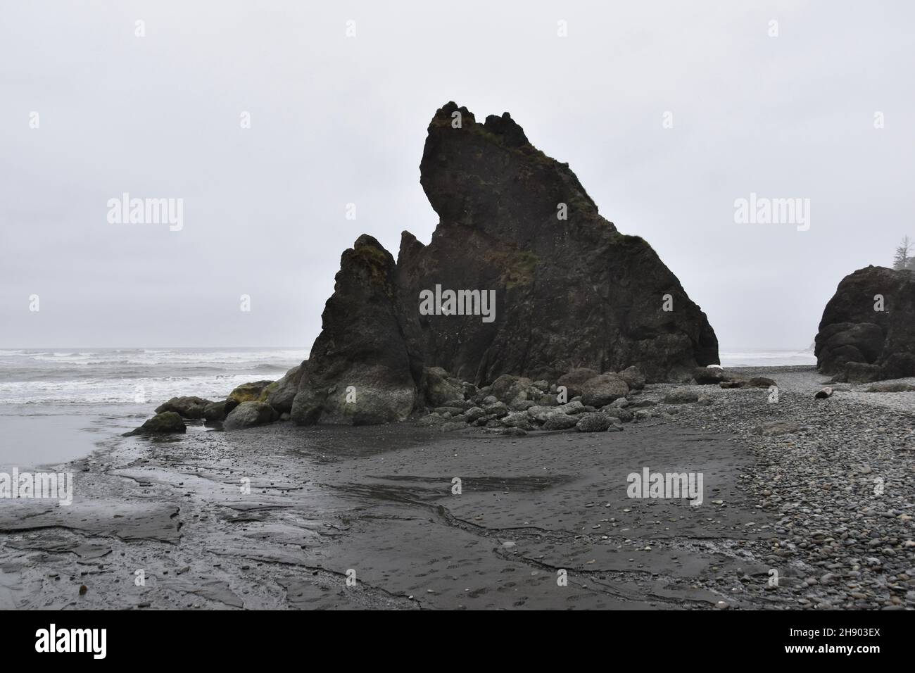 Ruby Beach on the Pacific Ocean in the Olympic National Park on a Foggy ...