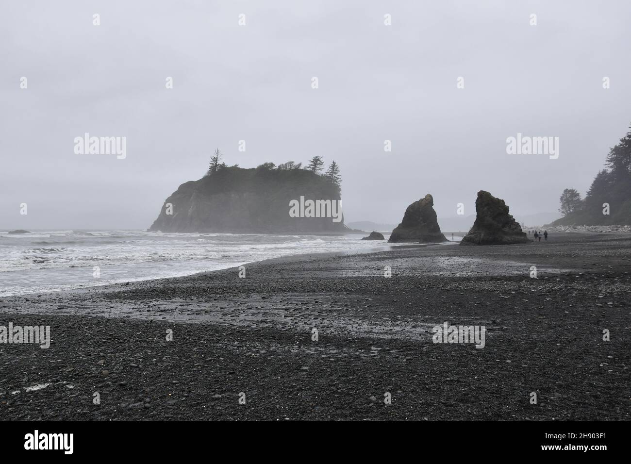 Ruby Beach on the Pacific Ocean in the Olympic National Park on a Foggy ...