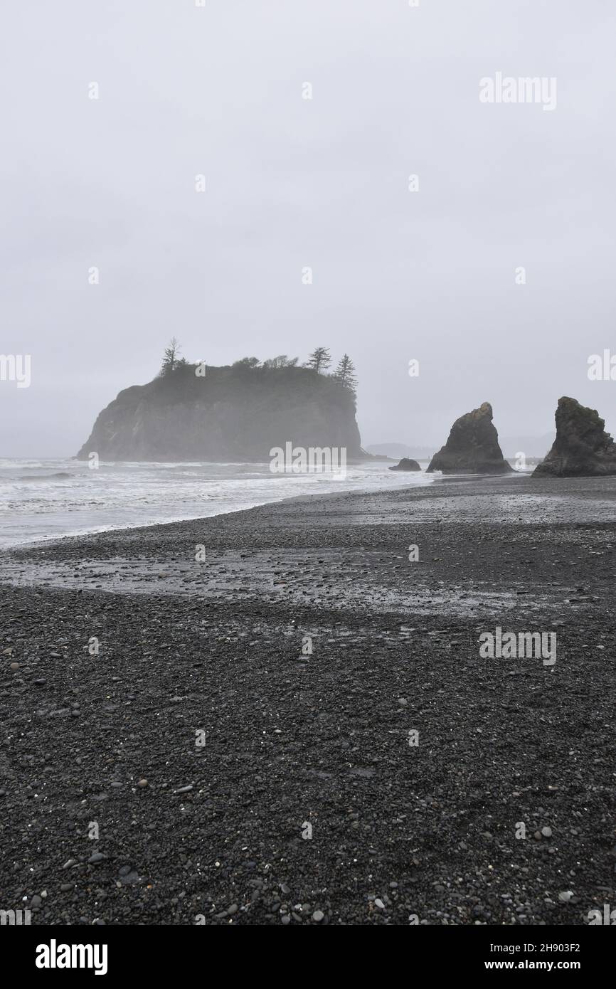 Ruby Beach on the Pacific Ocean in the Olympic National Park on a Foggy ...