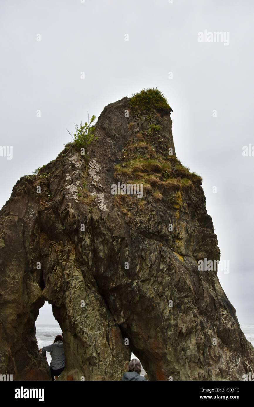 Ruby Beach on the Pacific Ocean in the Olympic National Park on a Foggy ...
