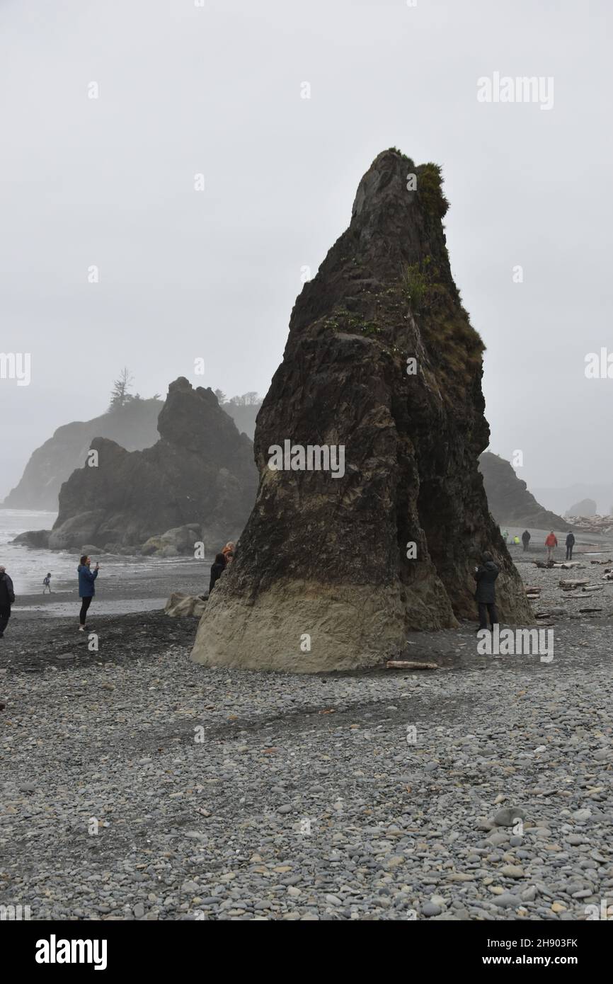 Ruby Beach on the Pacific Ocean in the Olympic National Park on a Foggy ...