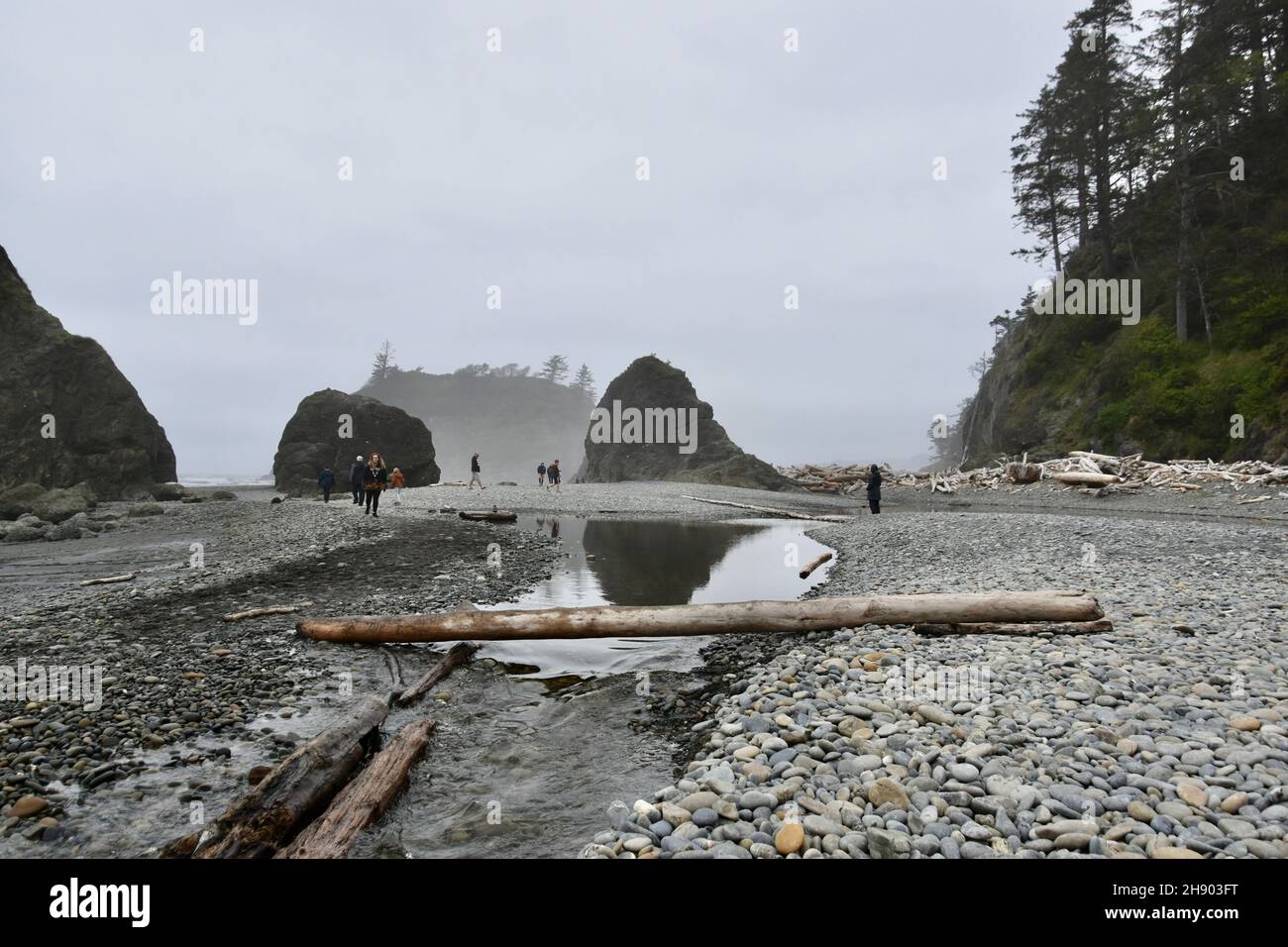 Ruby Beach on the Pacific Ocean in the Olympic National Park on a Foggy ...