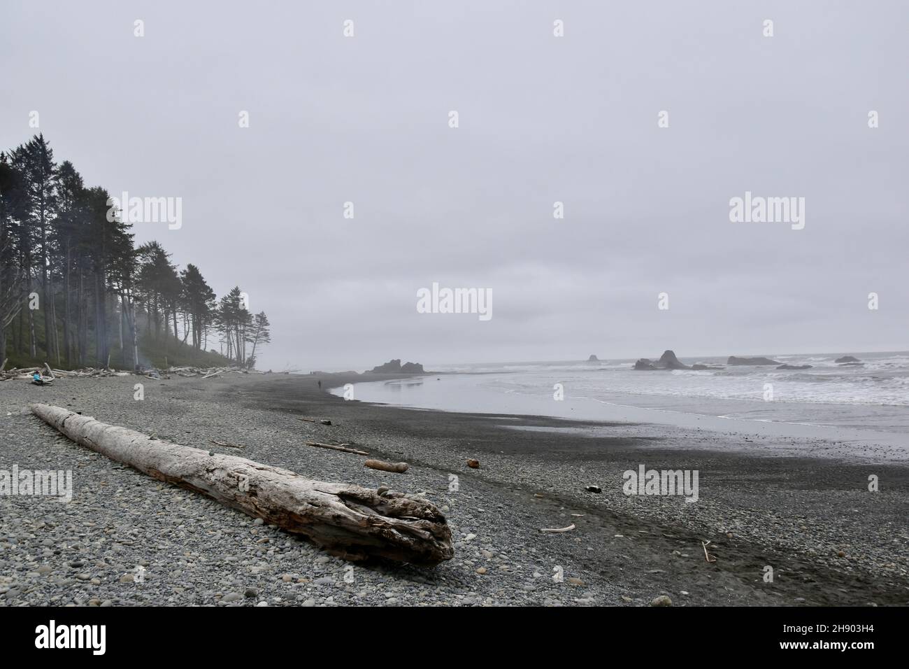 Ruby Beach on the Pacific Ocean in the Olympic National Park on a Foggy ...