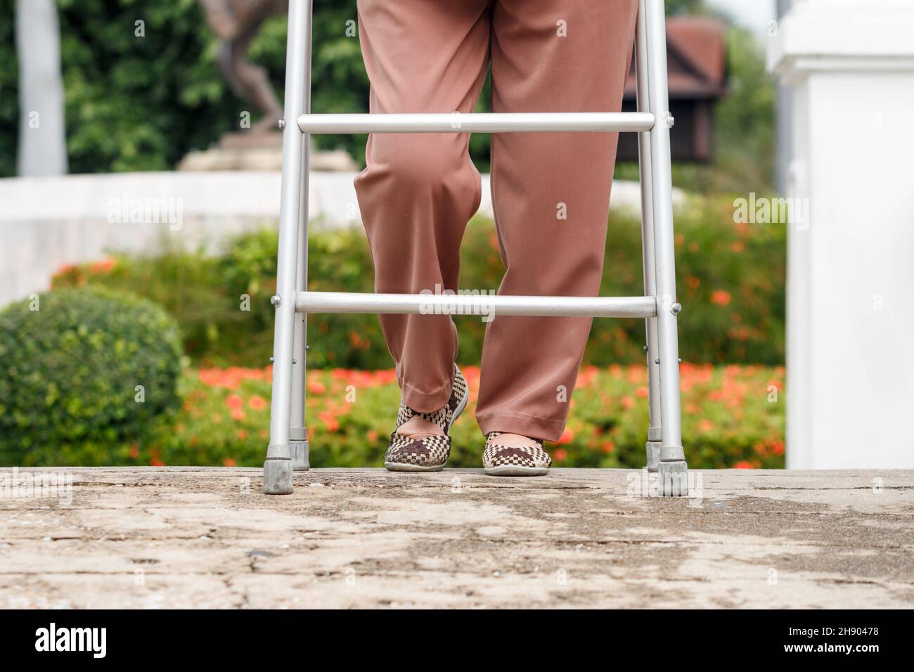 senior woman exercise with walker in park Stock Photo - Alamy