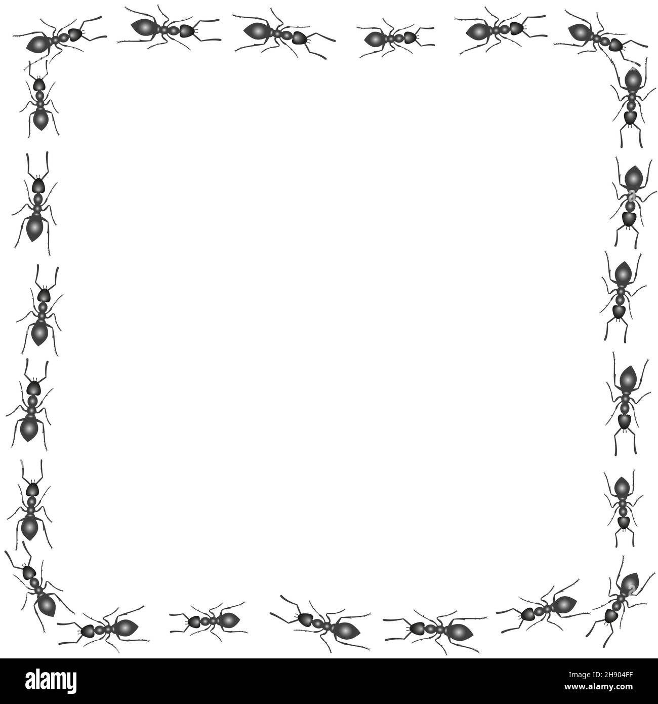 Border pest control hi-res stock photography and images - Alamy