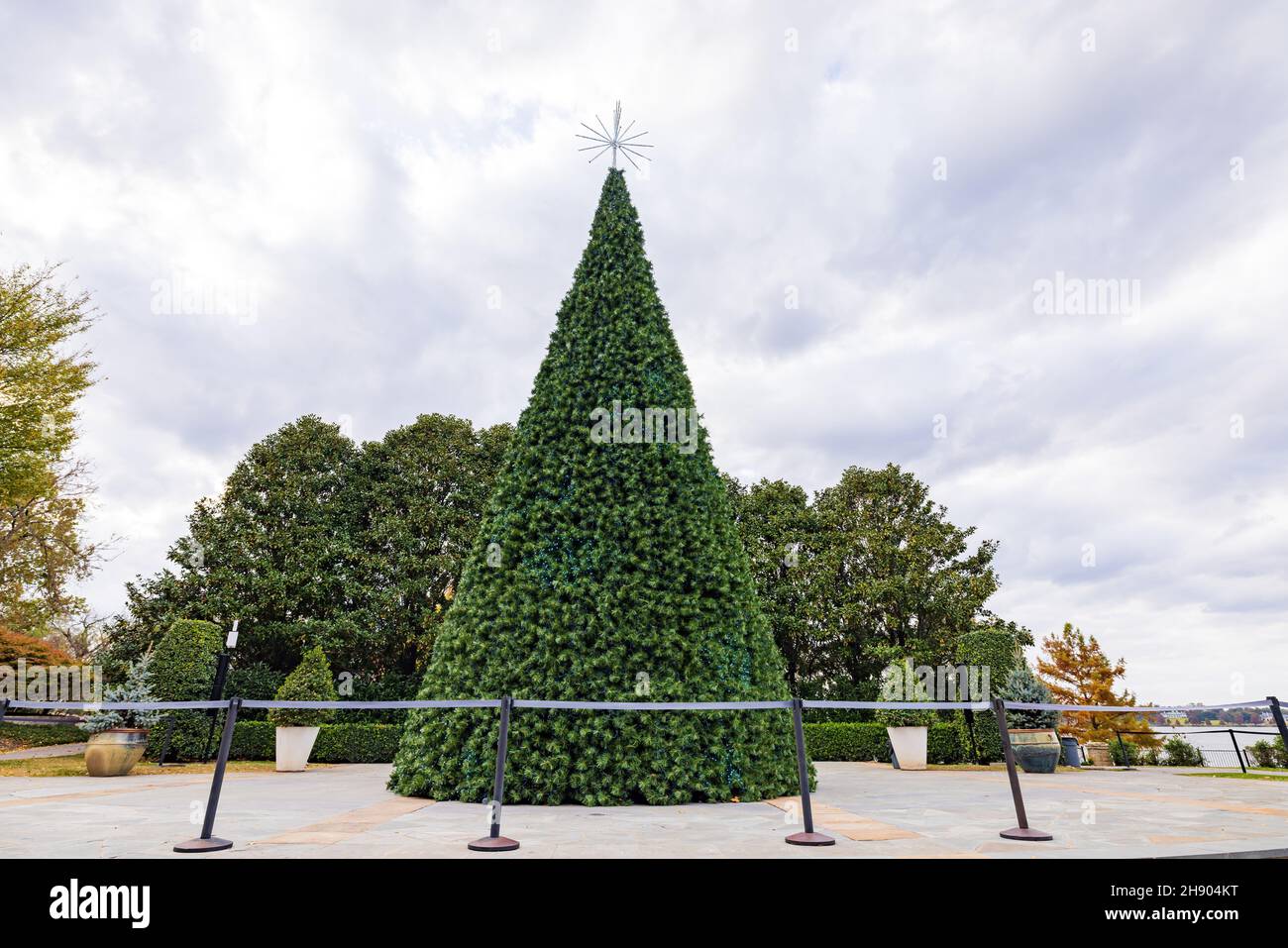 Overcast view of a Christmas tree in the Dallas Arboretum and Botanical ...