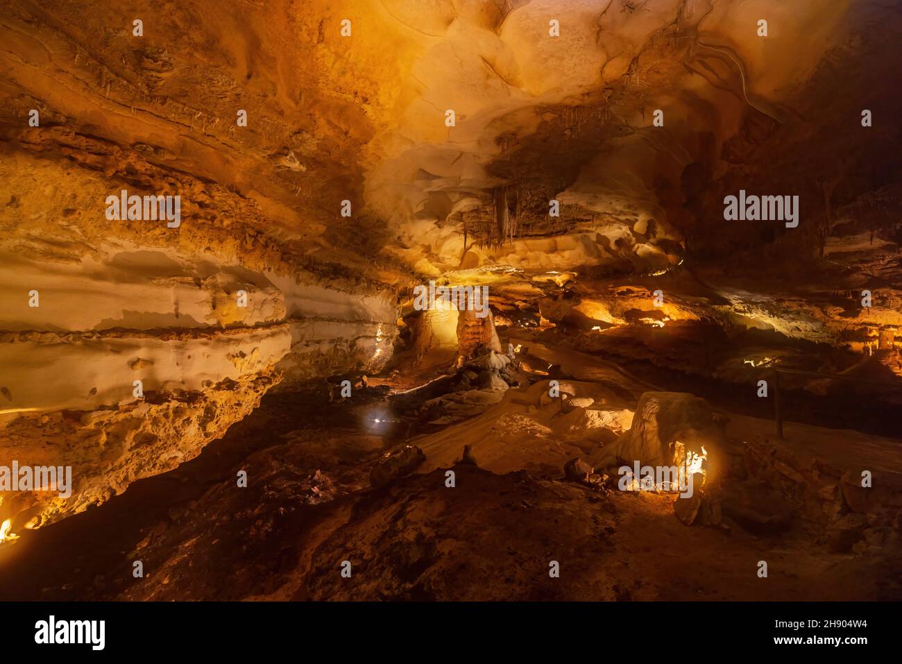 Interior view of the cave of Inner Space Cavern at Georgetown, Texas ...