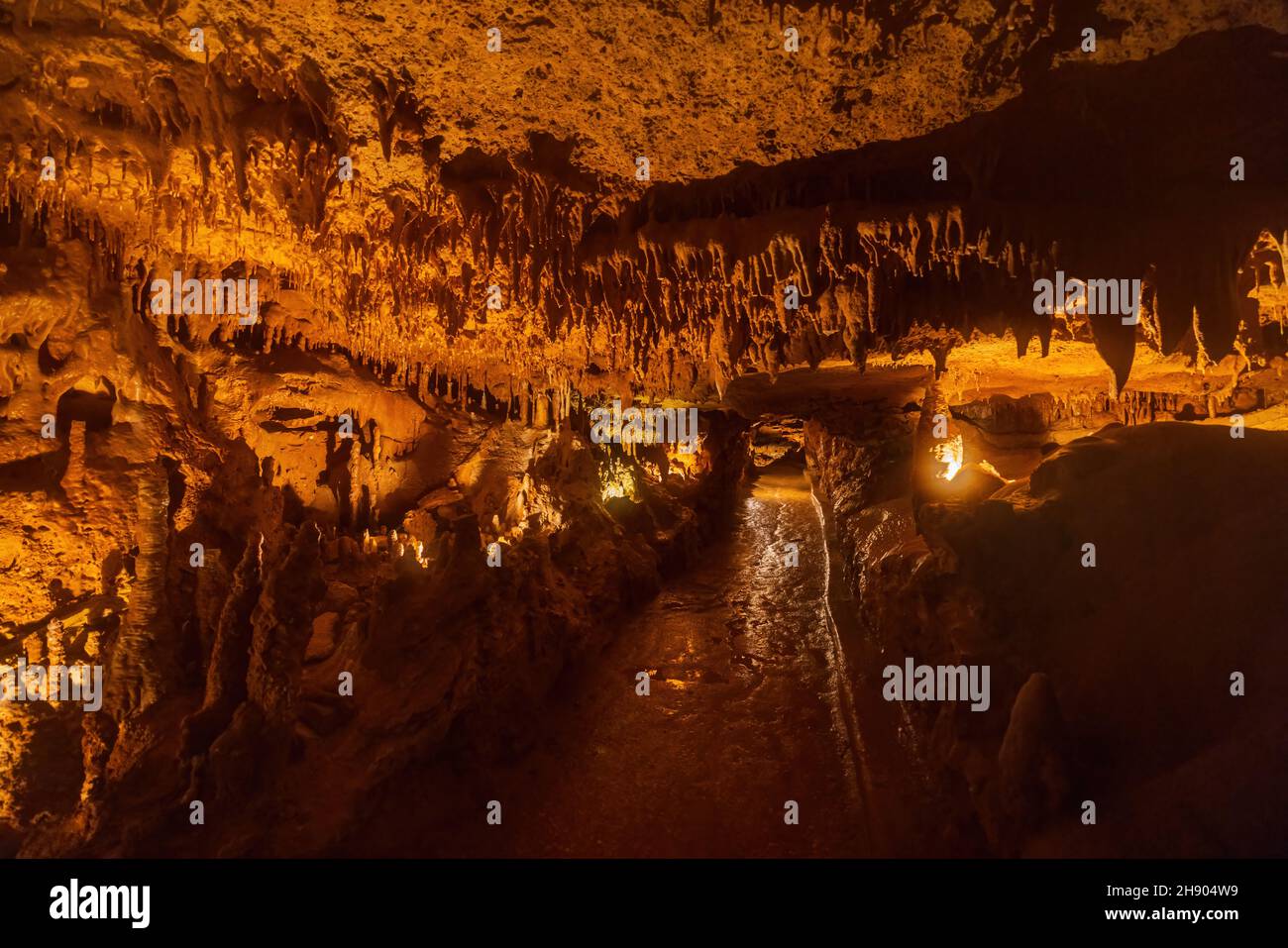 Interior view of the cave of Inner Space Cavern at Georgetown, Texas ...