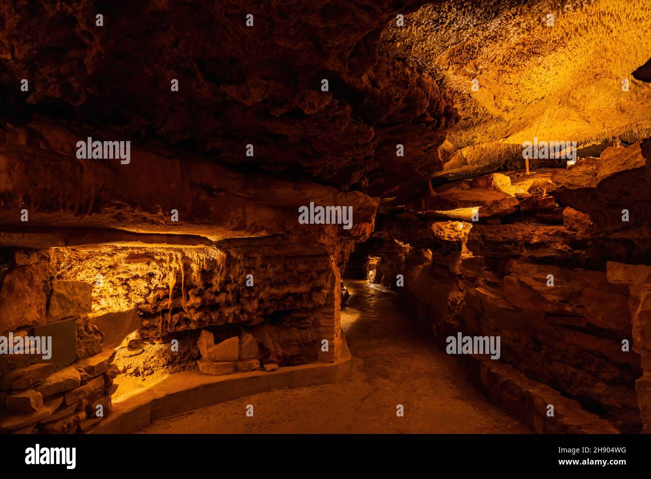 Interior view of the cave of Inner Space Cavern at Georgetown, Texas ...