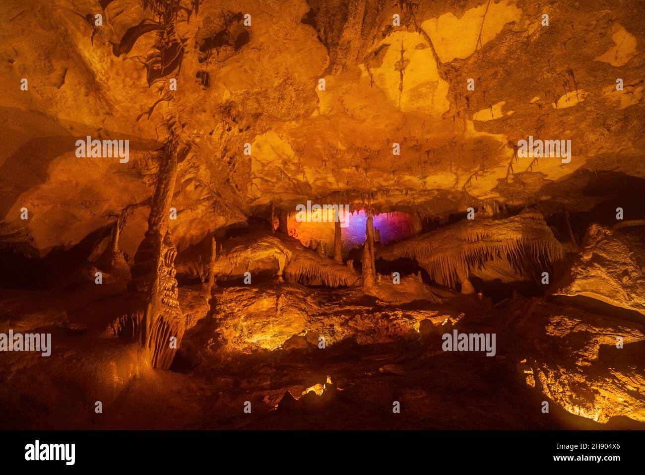 Interior view of the cave of Inner Space Cavern at Georgetown, Texas ...