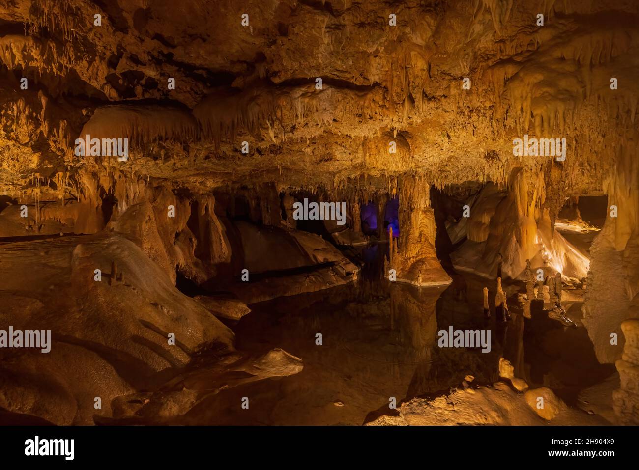 Interior view of the cave of Inner Space Cavern at Georgetown, Texas ...