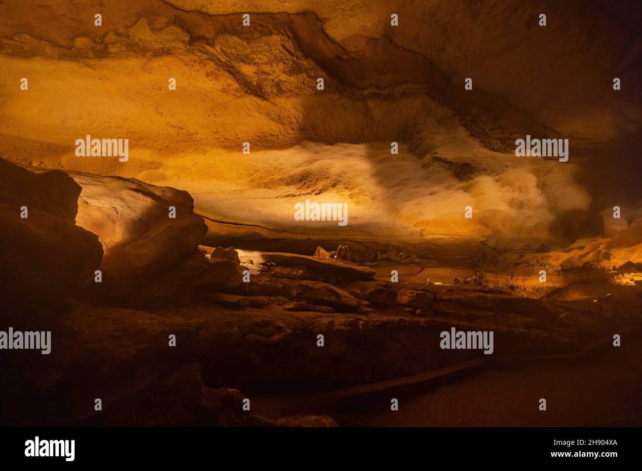 Interior view of the cave of Inner Space Cavern at Georgetown, Texas ...