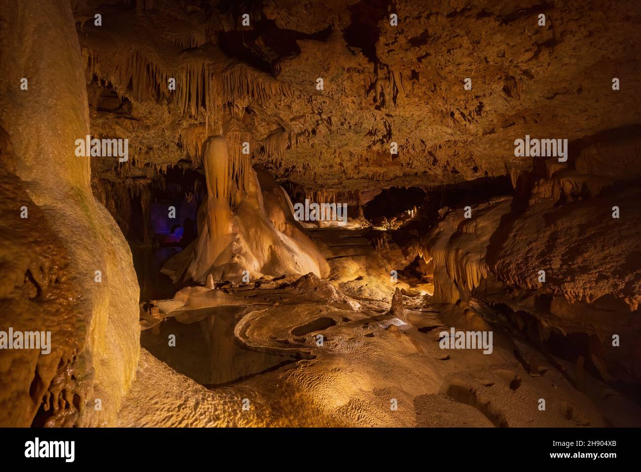 Interior view of the cave of Inner Space Cavern at Georgetown, Texas ...
