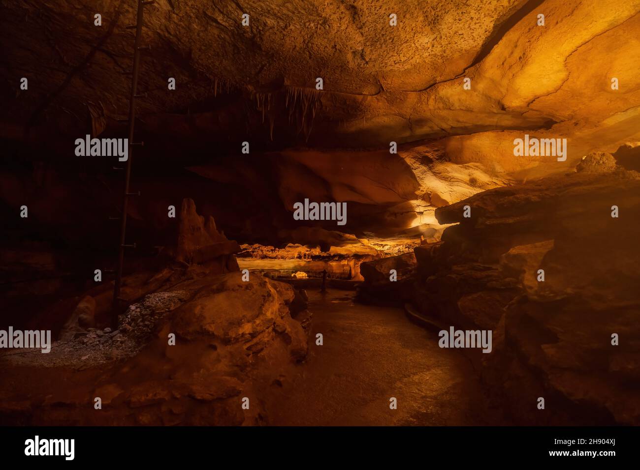 Interior view of the cave of Inner Space Cavern at Georgetown, Texas ...
