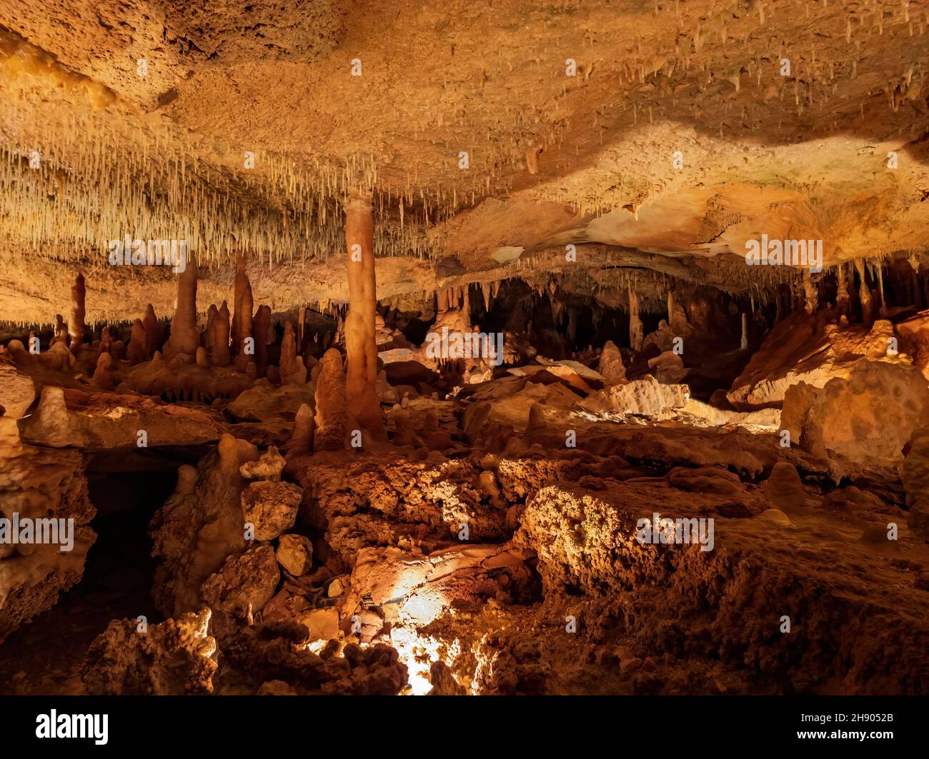 Interior view of the cave of Inner Space Cavern at Georgetown, Texas ...