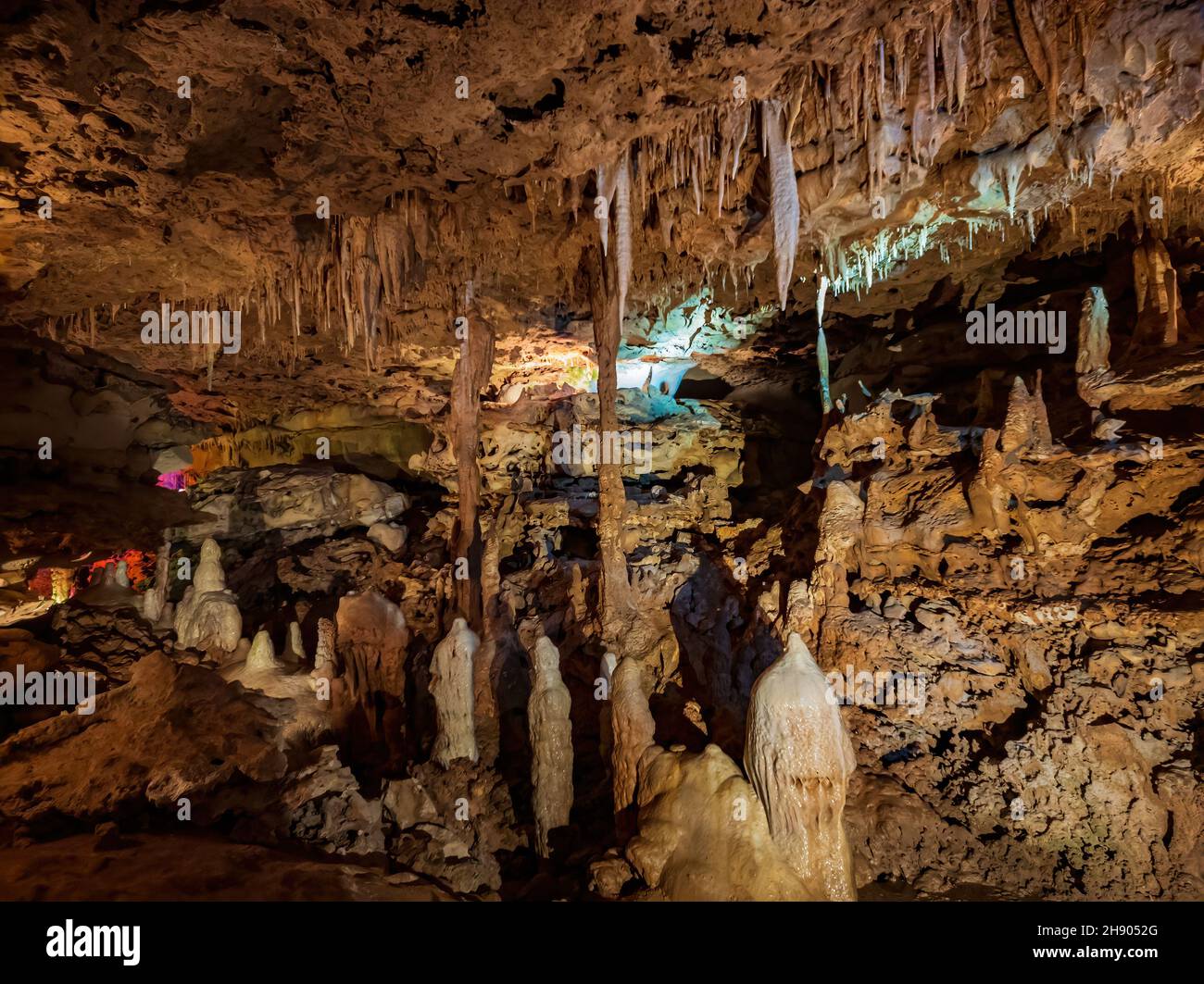 Interior view of the cave of Inner Space Cavern at Georgetown, Texas ...