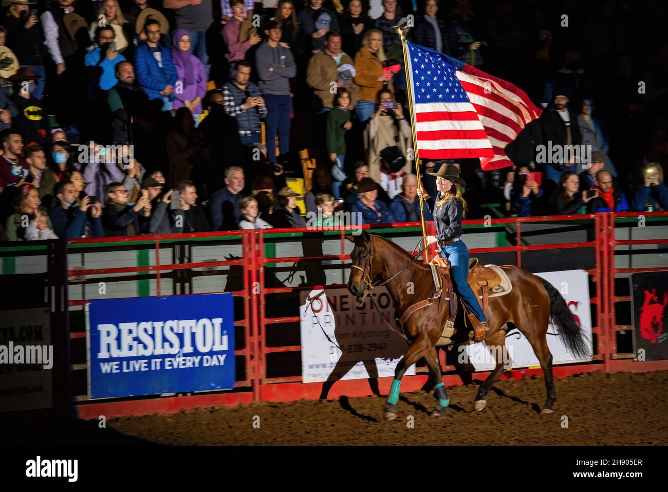 Horse texas flag hi-res stock photography and images - Alamy
