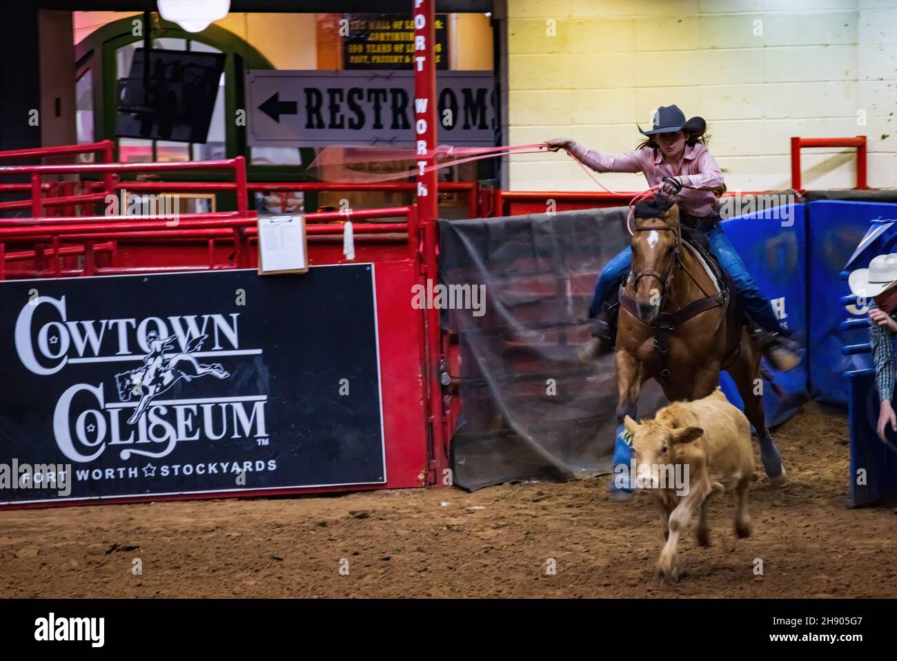 Cowgirl roping calf hi-res stock photography and images - Alamy