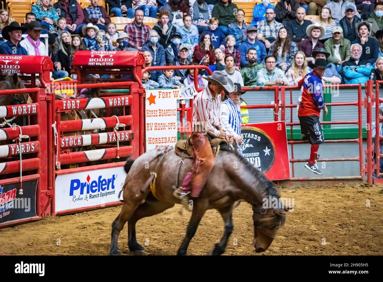 Bareback Bronc Riding High Resolution Stock Photography and Images - Alamy
