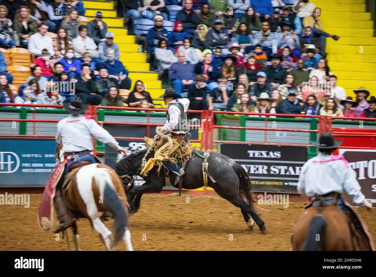 Bareback bronc riding hi-res stock photography and images - Alamy