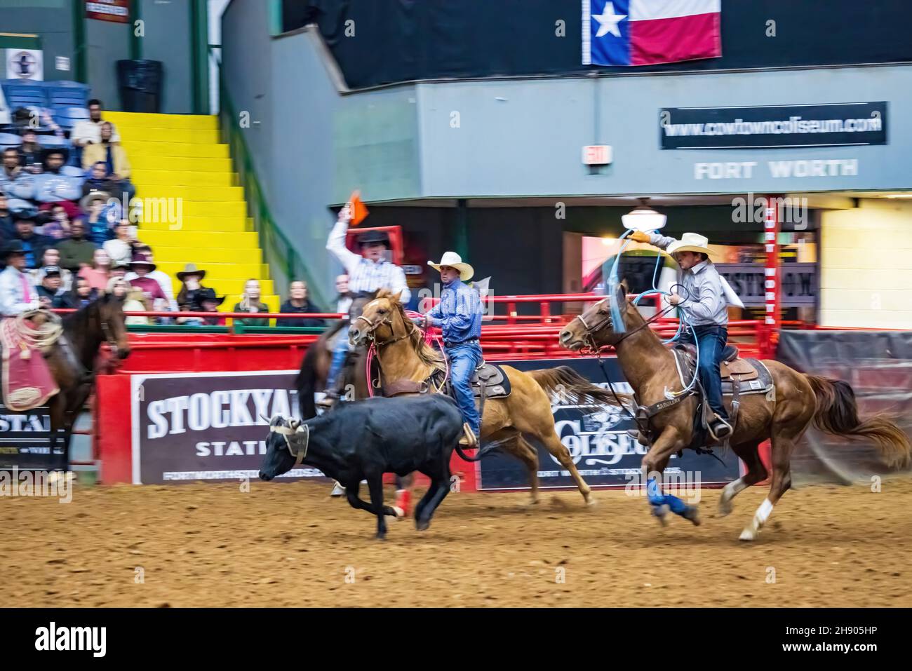 Team roping hi-res stock photography and images - Alamy