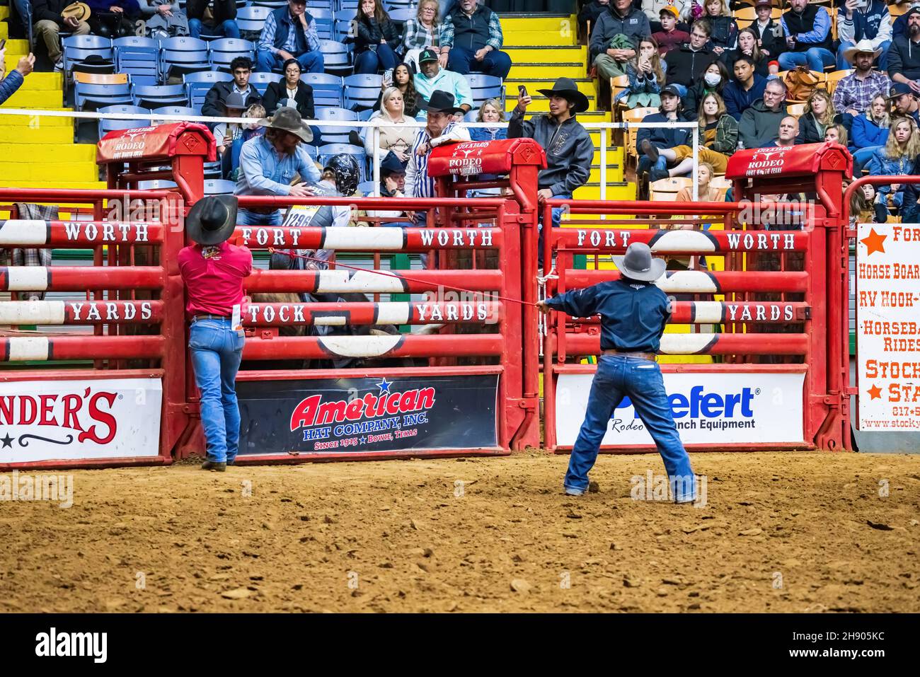 Fort Worth, NOV 27 2021, Bull riding competition in the Stockyards ...