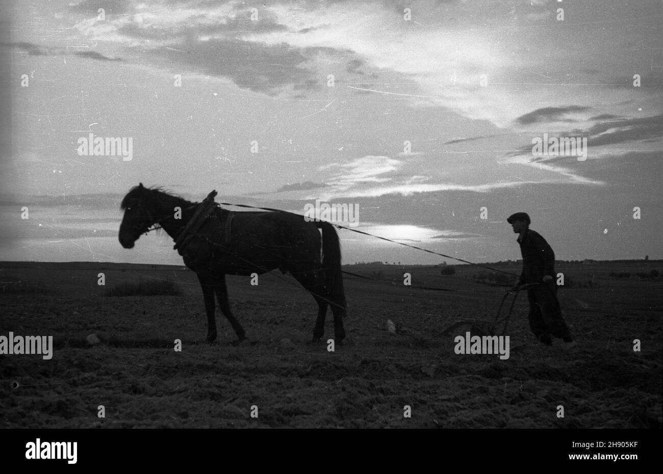 Plug plot Black and White Stock Photos & Images - Alamy