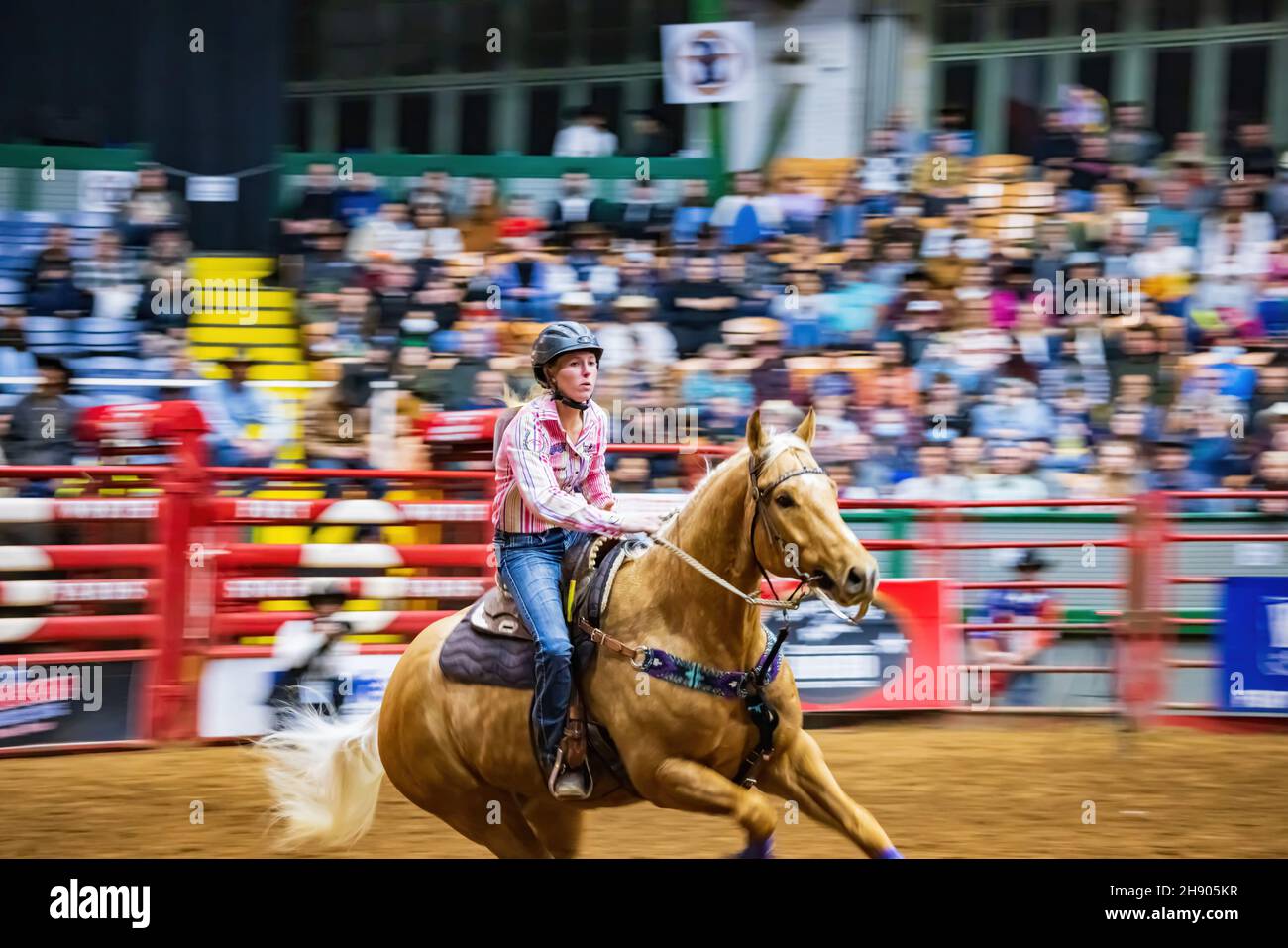 Fort Worth, NOV 27 2021, Barrel racing in the Stockyards Championship ...