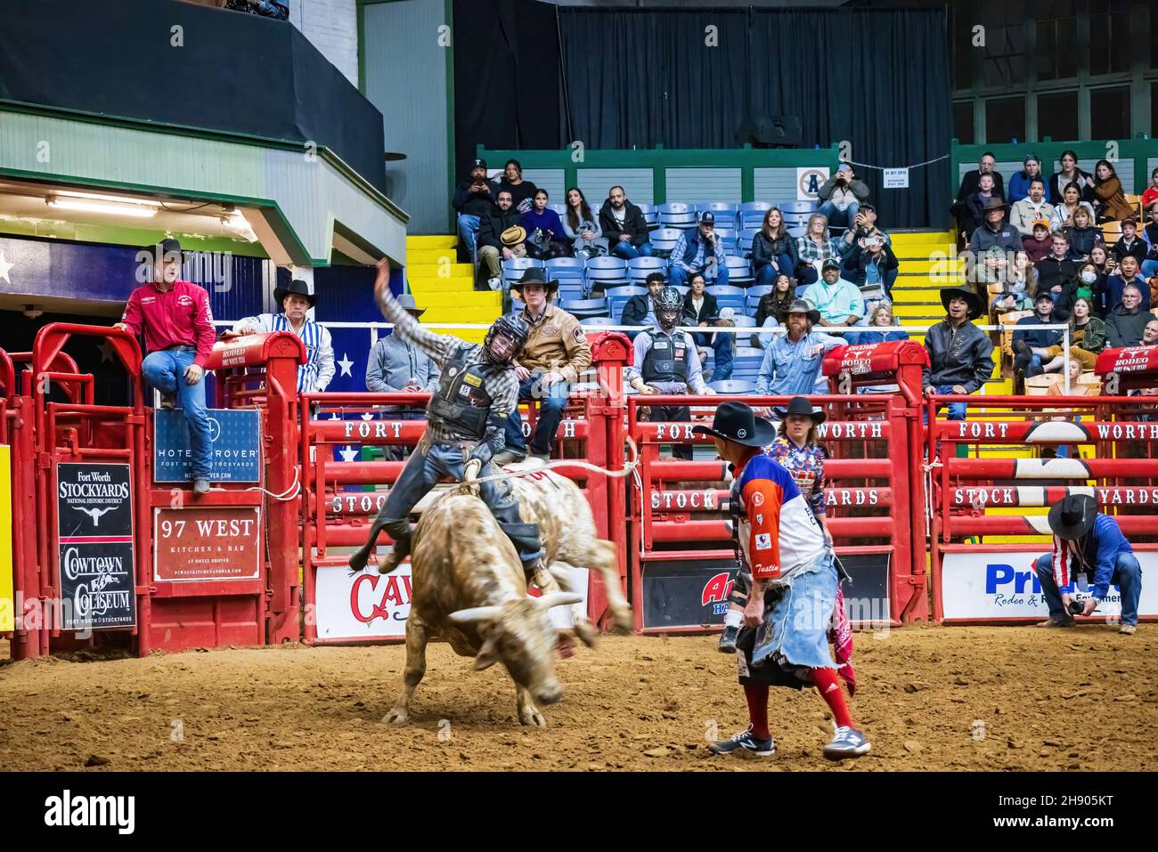 Fort Worth, NOV 27 2021, Bull riding competition in the Stockyards ...