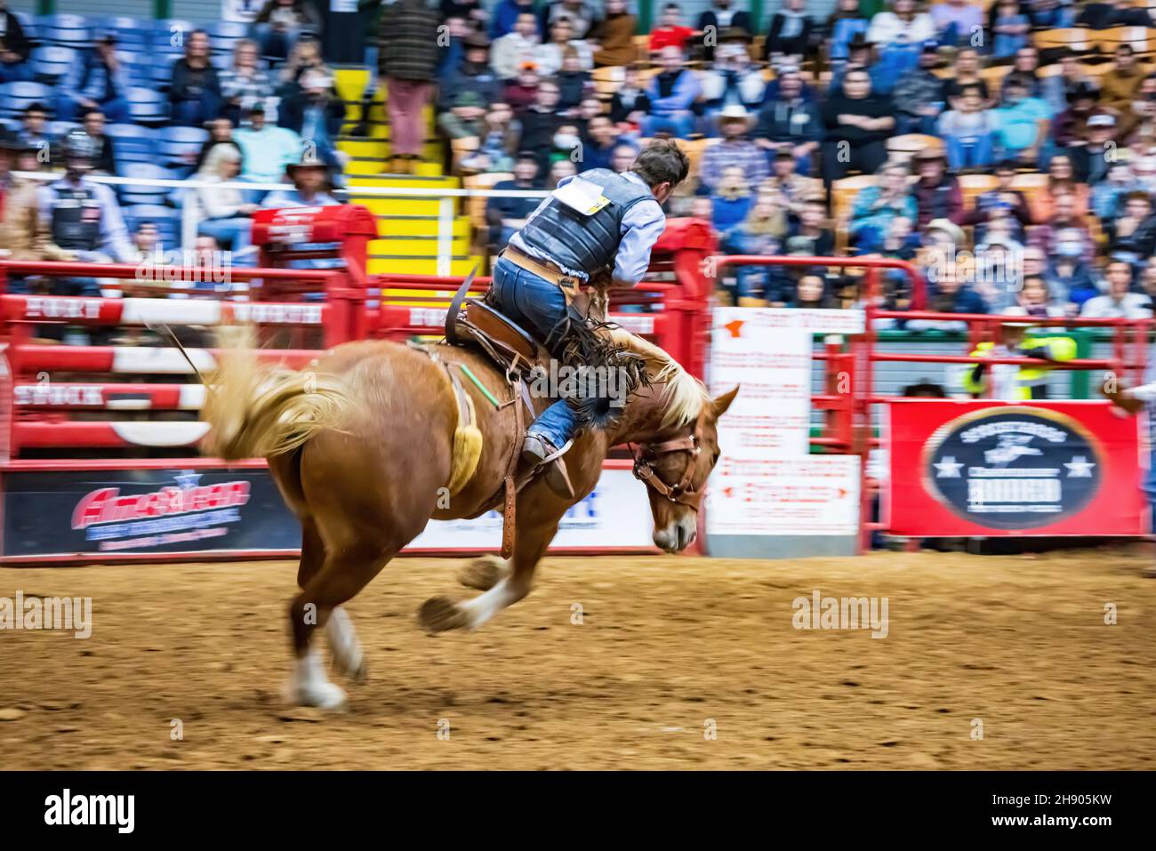 Bareback bronc riding hi-res stock photography and images - Alamy