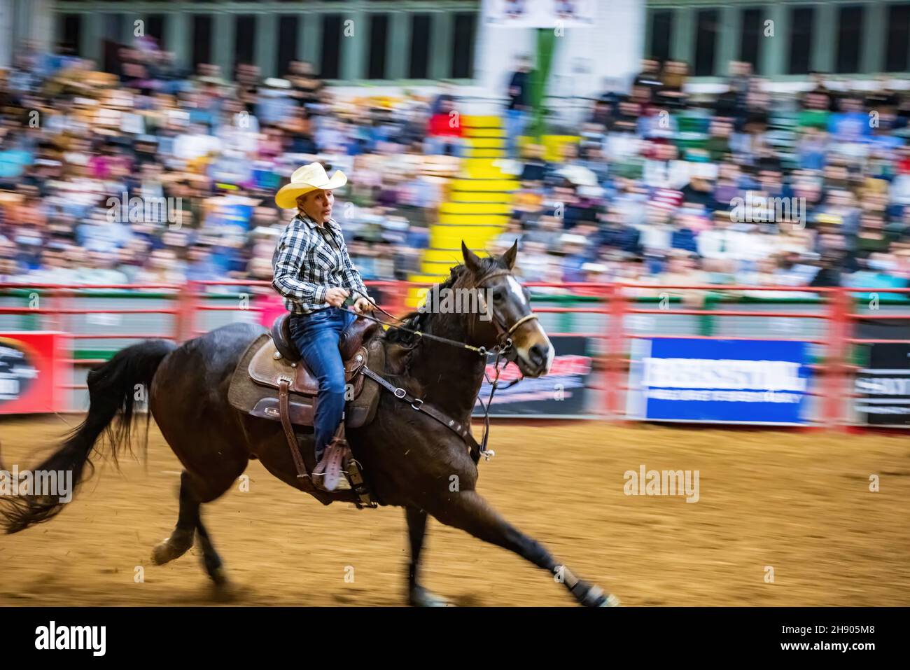 Fort Worth, NOV 27 2021, Barrel racing in the Stockyards Championship ...