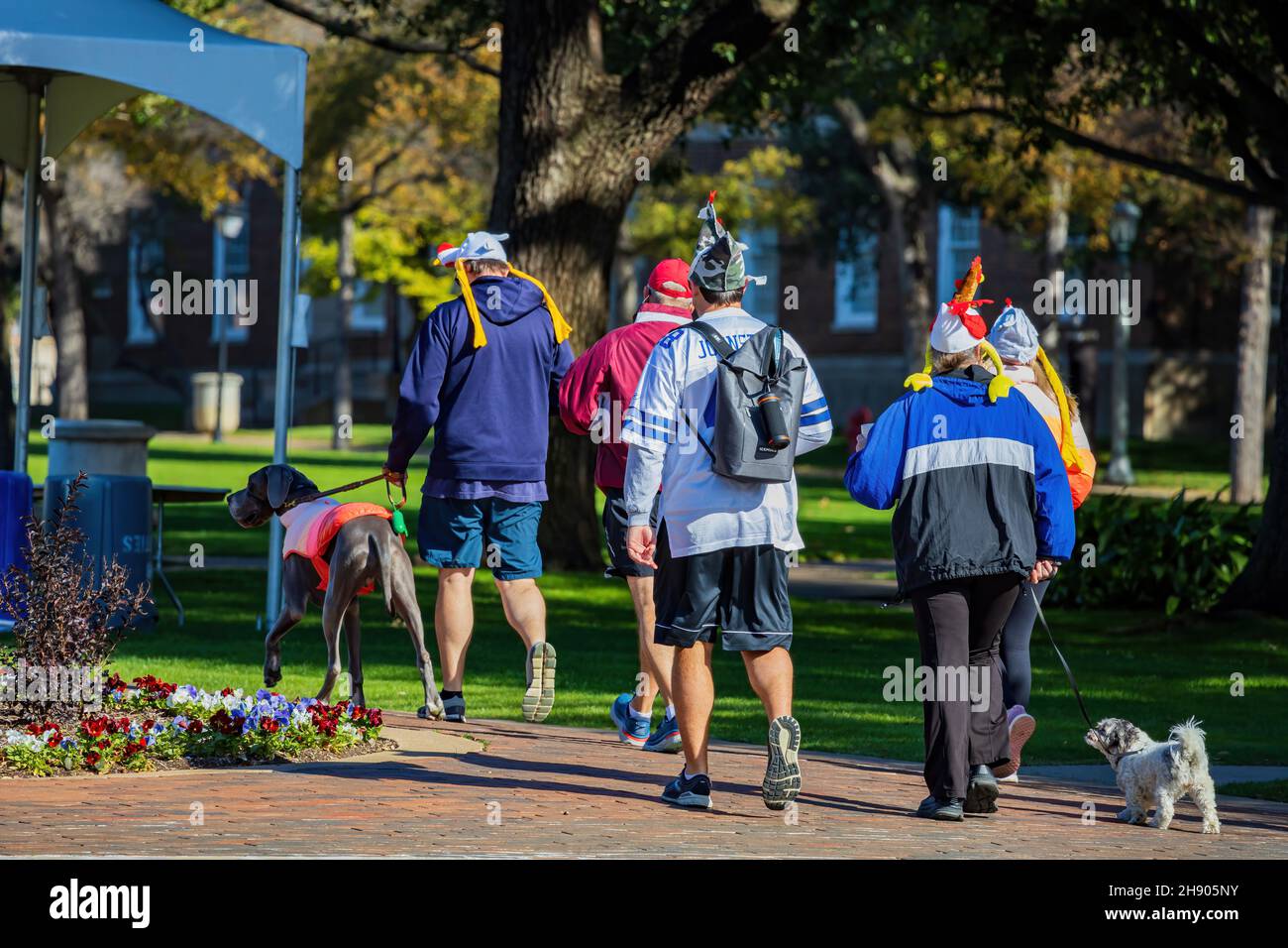 Turkey costume run hi-res stock photography and images - Alamy