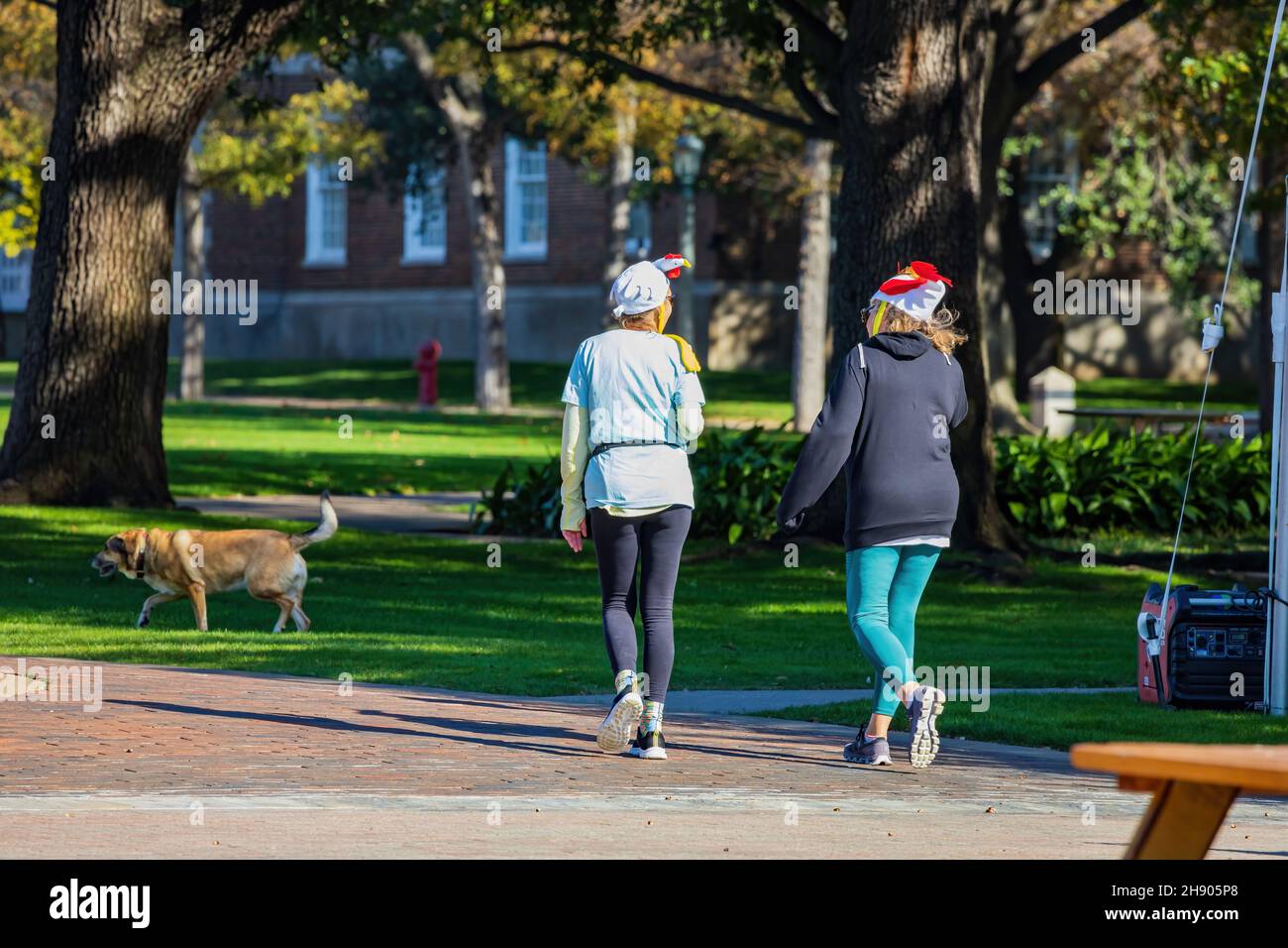 Dallas, NOV 25 2021, People dress up to run the turkey run Stock Photo ...