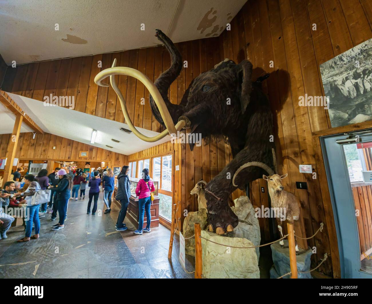 Georgetown, NOV 26, 2021, Interior view of the Inner Space Cavern Stock ...