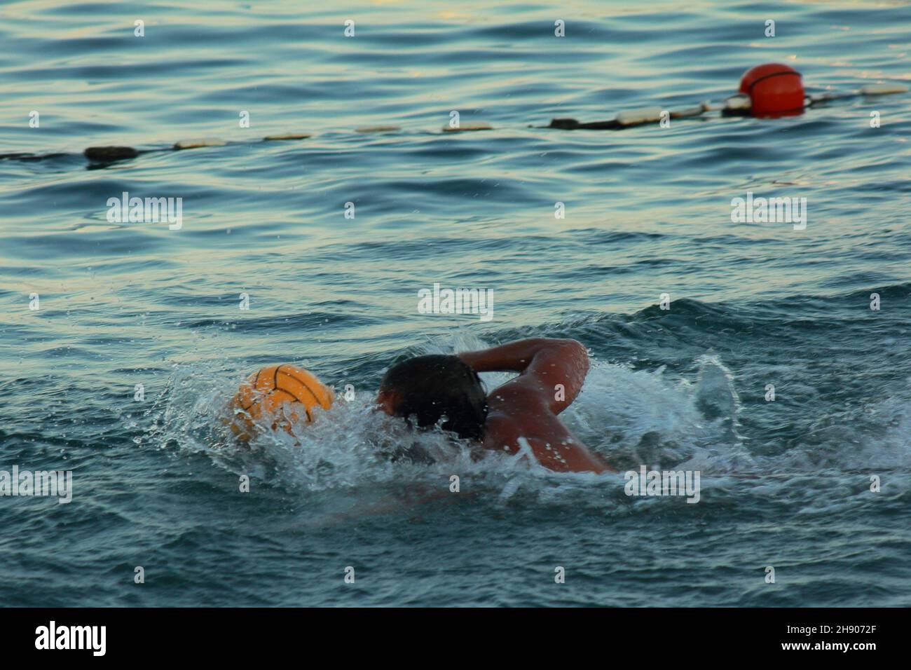 Waterpolo player in the water with ball Stock Photo - Alamy