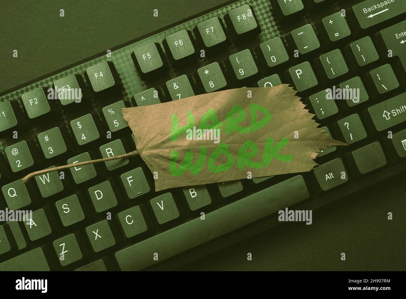 Writing displaying text Hard Work. Word Written on always putting a lot ...