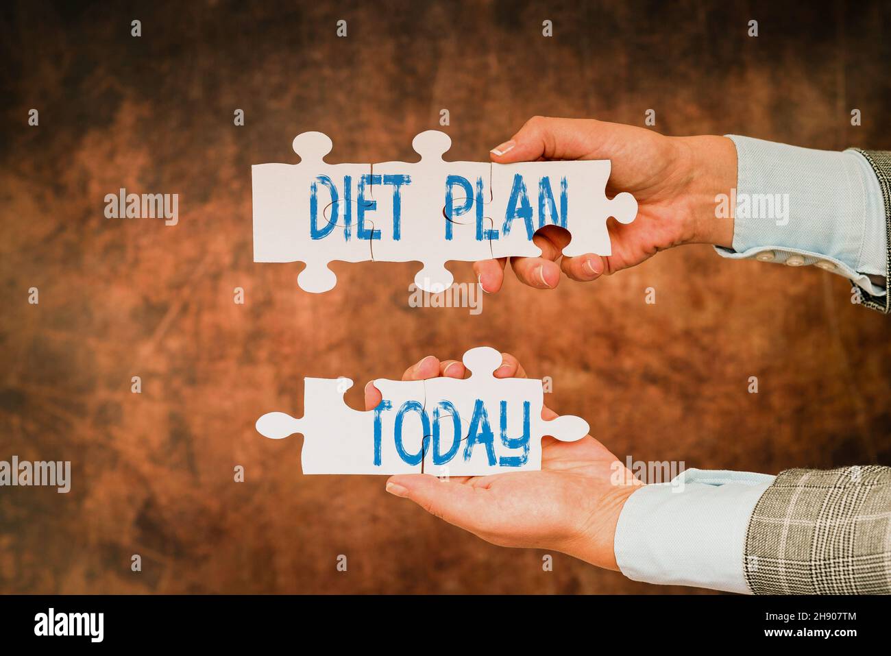 Conceptual caption Diet Plan. Concept meaning detailed proposal for ...