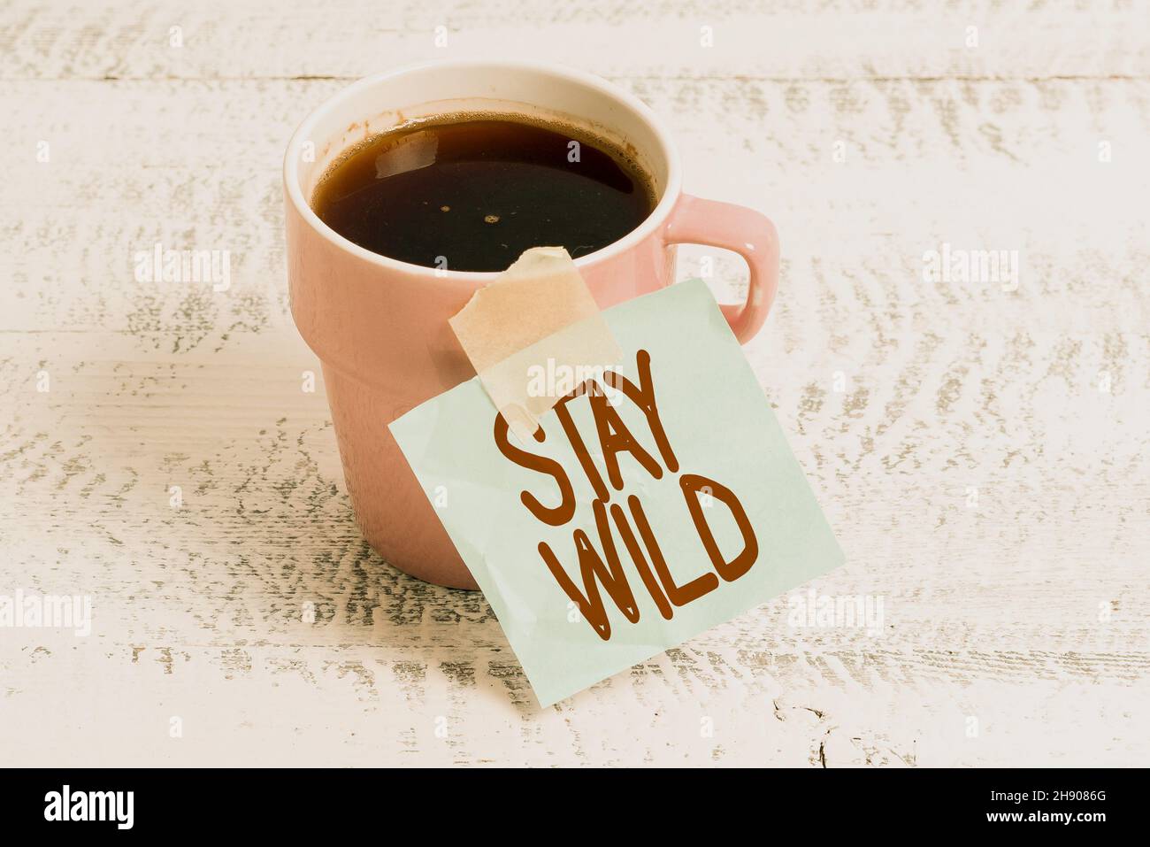 Handwriting text Stay Wild. Concept meaning keep being you and doing ...