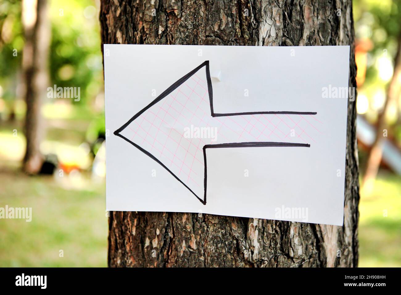 Arrow indicator on tree hi-res stock photography and images - Alamy