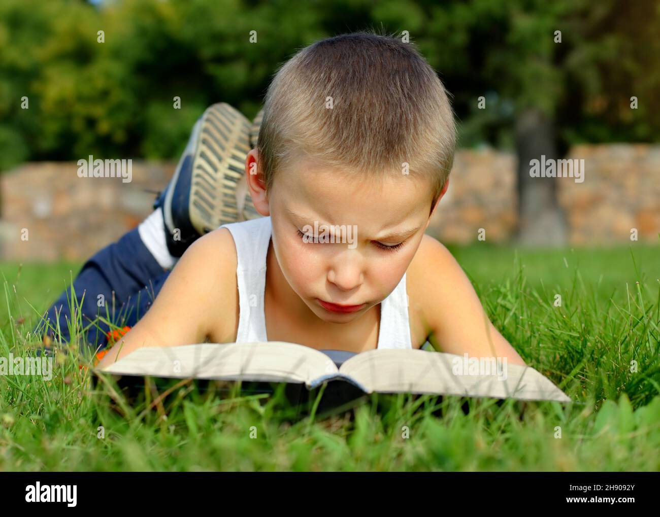 Little Kid read the Book on the Summer Meadow Stock Photo - Alamy