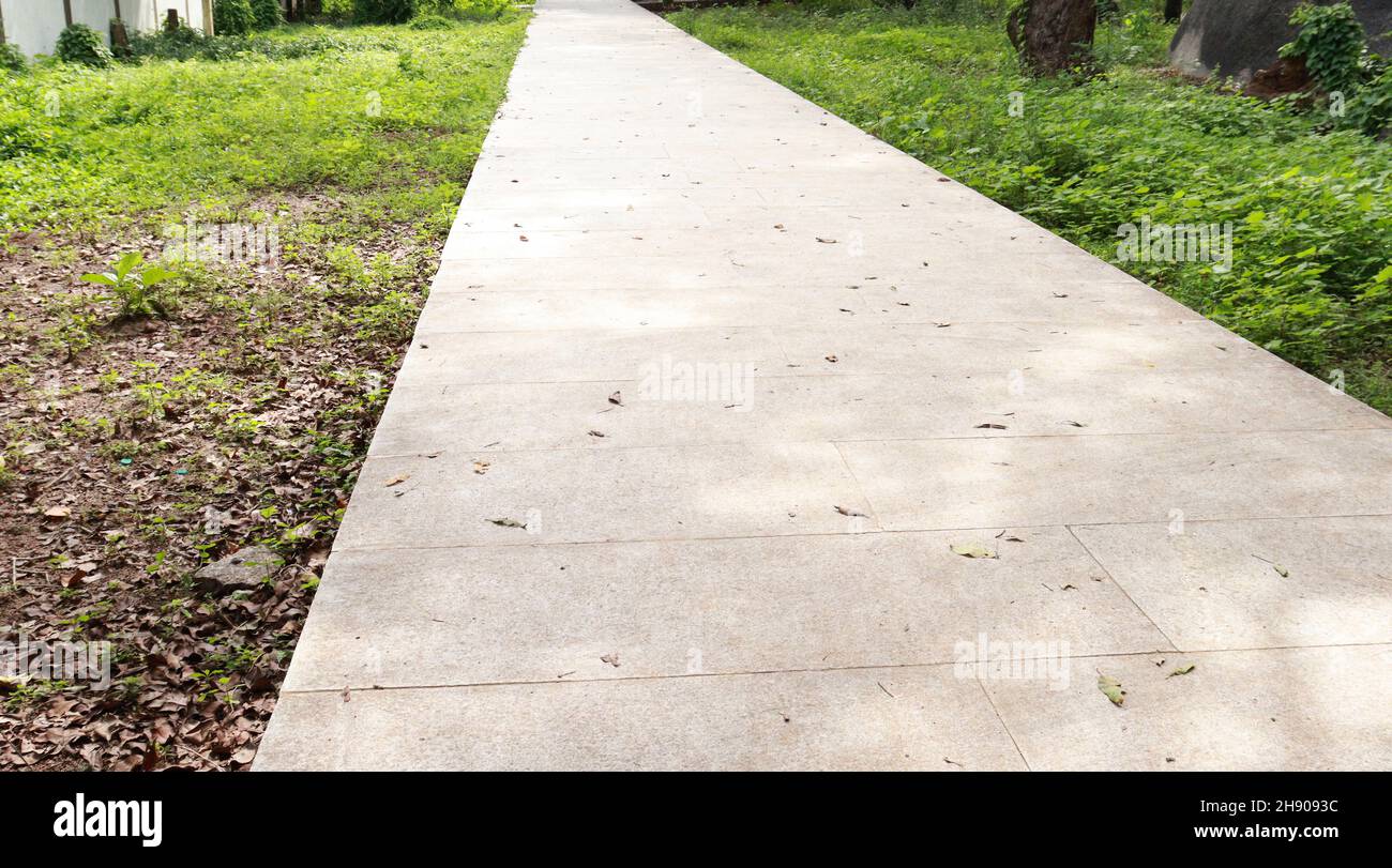 White cement way path in the middle of green plants Stock Photo - Alamy