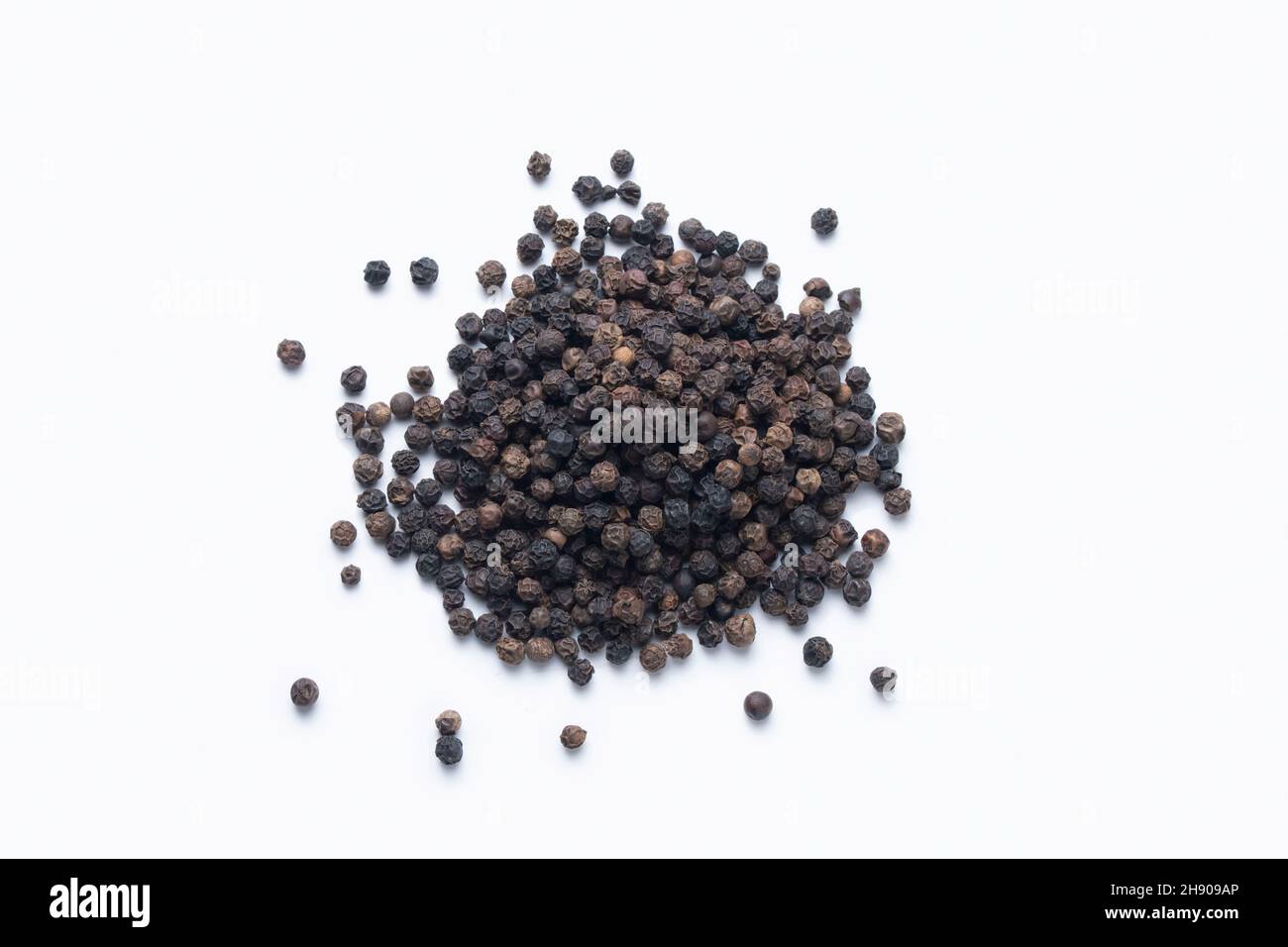 Black pepper seeds, Piper nigrum, Satara, Maharashtra, India Stock ...