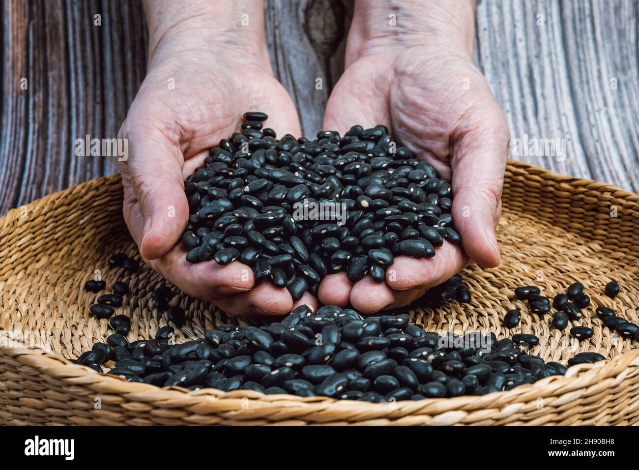 Brown bowl full of dry black beans. Hands full of fresh black beans ...