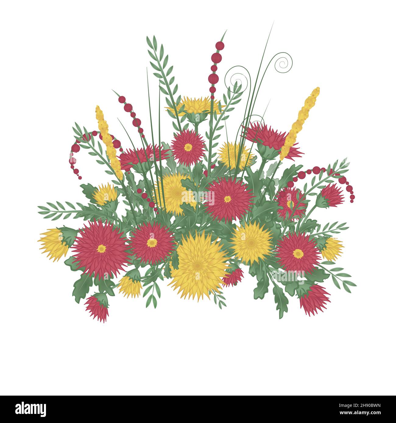 Monks cress Stock Vector Images - Alamy