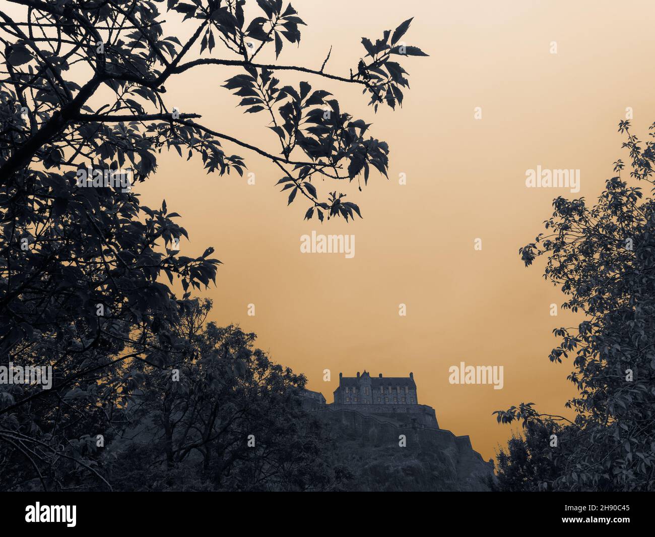 Dawn Edinburgh Castle, Princess Street Gardens, Edinburgh, Scotland, UK ...