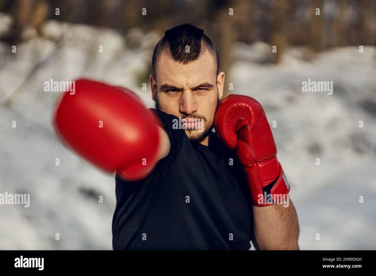 Strong muscular fighter with boxing gloves sparring in nature at snowy ...