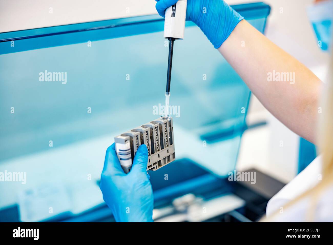 Experiments with blood samples. A nurse holds a little rack with blood ...