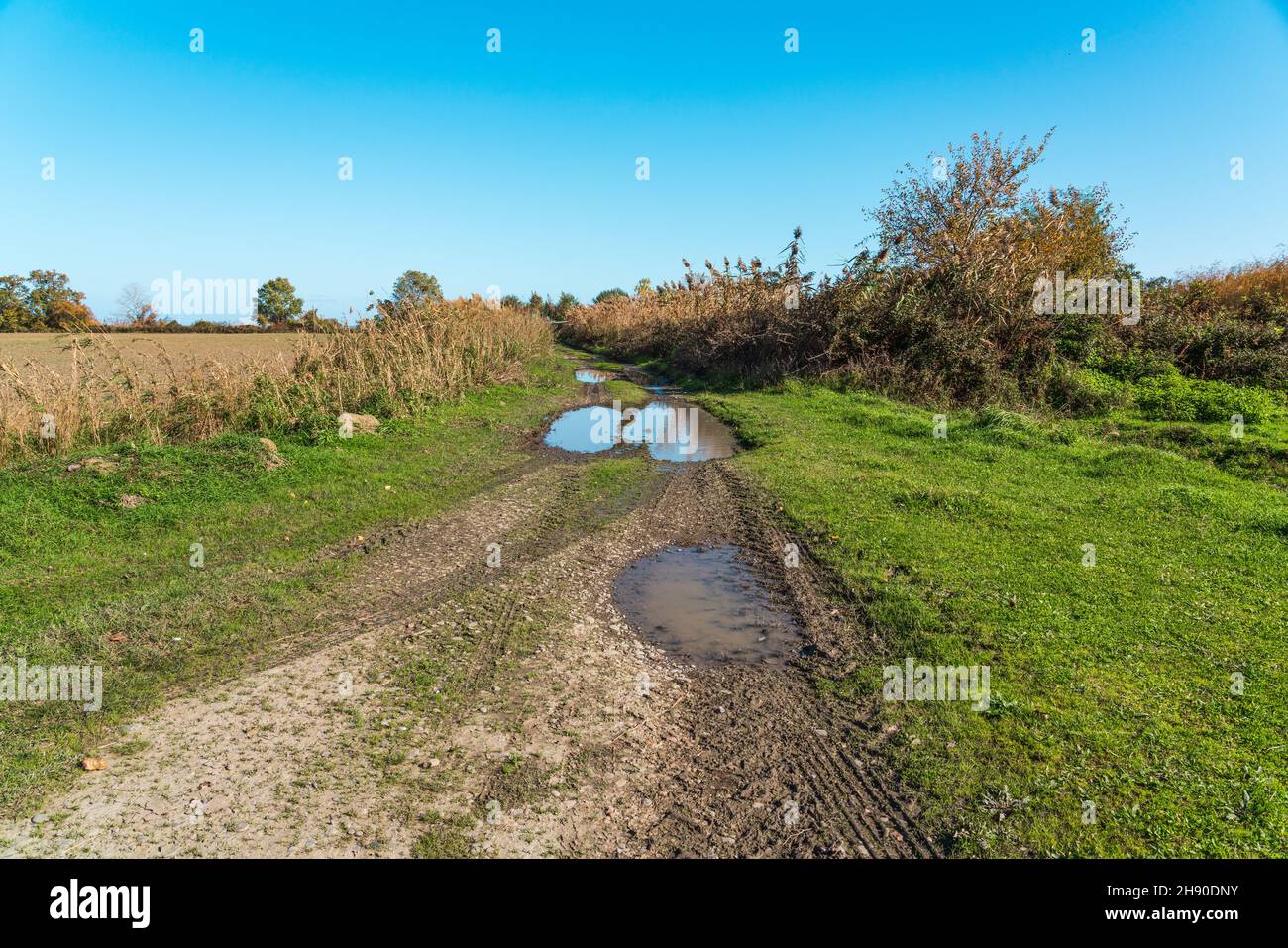 Puddles on a country road hi-res stock photography and images - Alamy