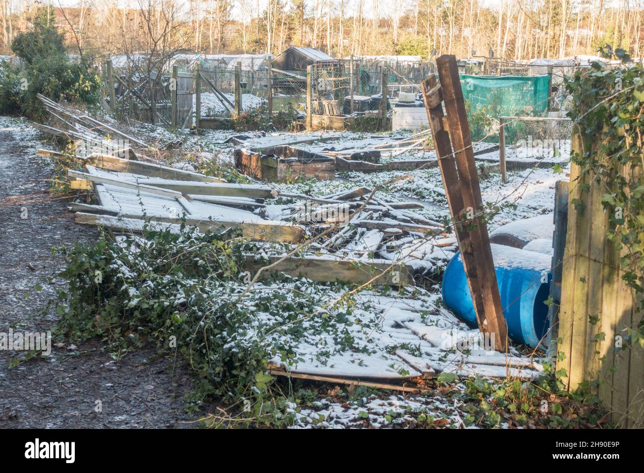 The perimeter fence of allotment gardens blown down during storm Arwen ...