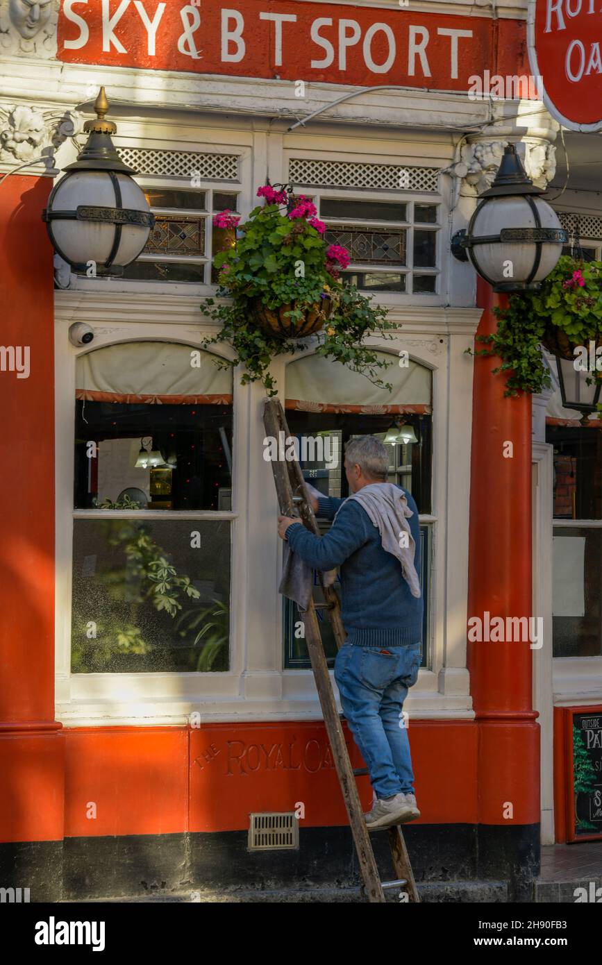 window cleaner standing on ladder cleaning the outside wondows of a ...